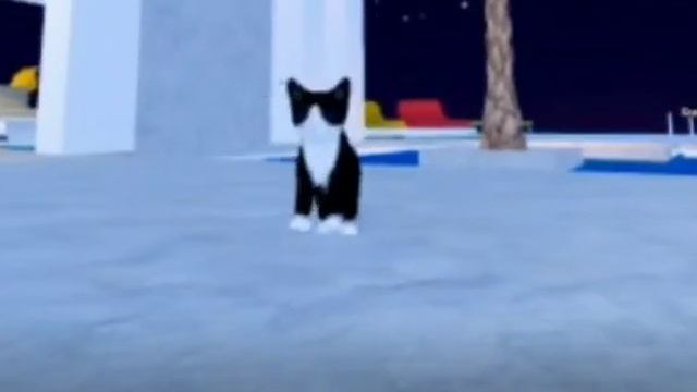 кот танцует