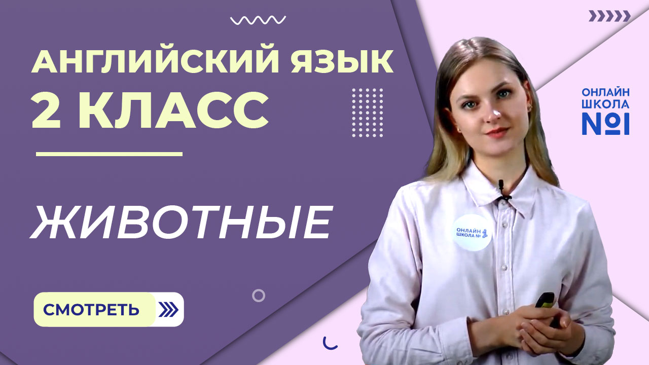 Видеоурок 49. Зоология. Животные. Английский 2 класс