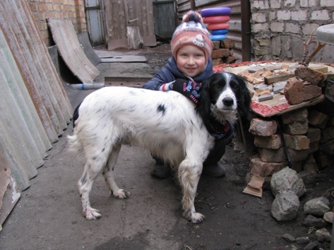 В нашей семье пополнение - кобель породы Русский охотничий спаниель (РОС) по кличке Рикки