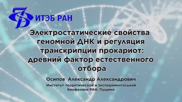 03 - Осипов  Александр Александрович-.mp4