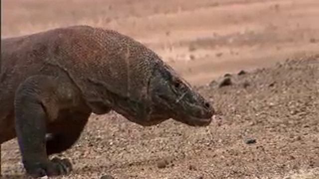 Unit 6_On the Tip of My Tongue