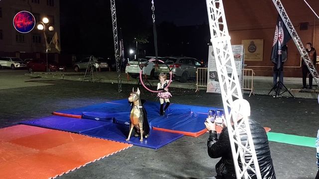 Гламурный Мяу. Выступление воздушных гимнастов.