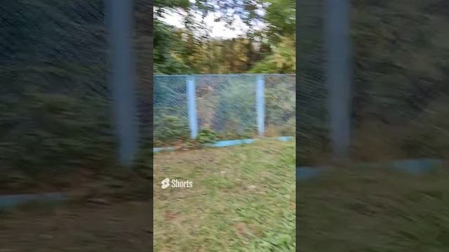 Тестируем городские площадки