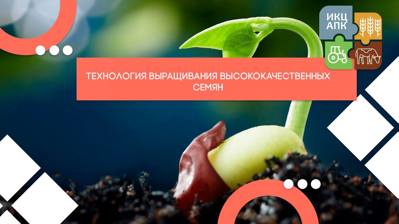 Запись семинара от 28 октября 2022 года