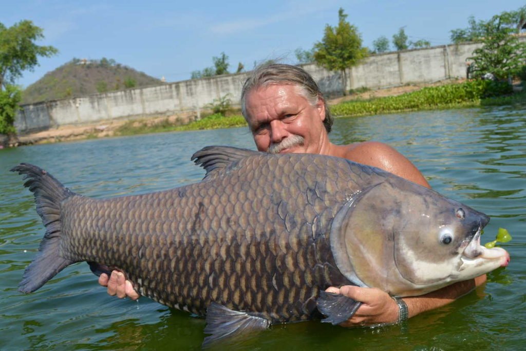 094.Трофеи 19.mp4