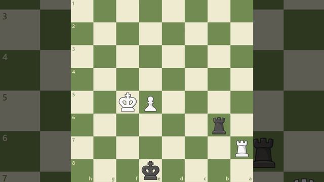 Позиция Филидора