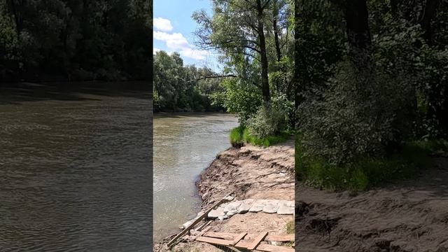 Погибла девочка Евангелина где-то здесь. Осматриваем берег.