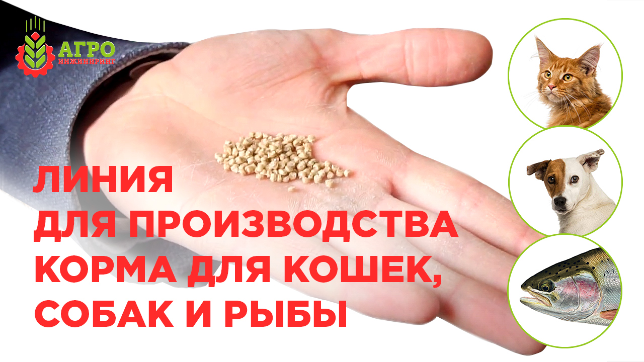 Линии и оборудование для производства кормов для домашних животных и рыбы.