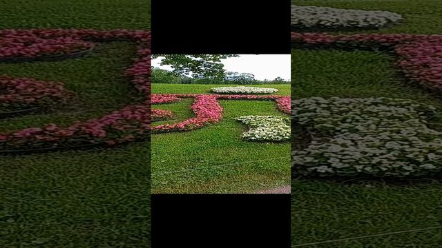 Гатчина , Гатчинский парк