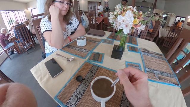 06_Шри-Ланка 2023. Девятиарочный мост, поезд, Нувара-Элия, чайная плантация, водопад Рамбода