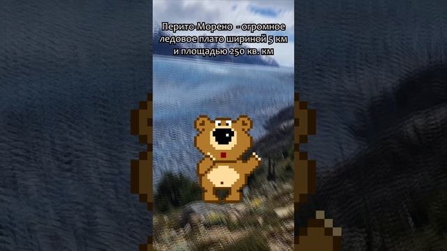 Мишка и Перито Морено