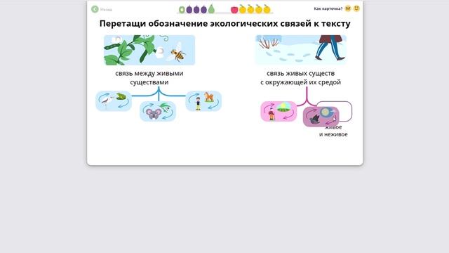 Повторение 3й класс Мир вокруг Экология 4 Экологические связи
