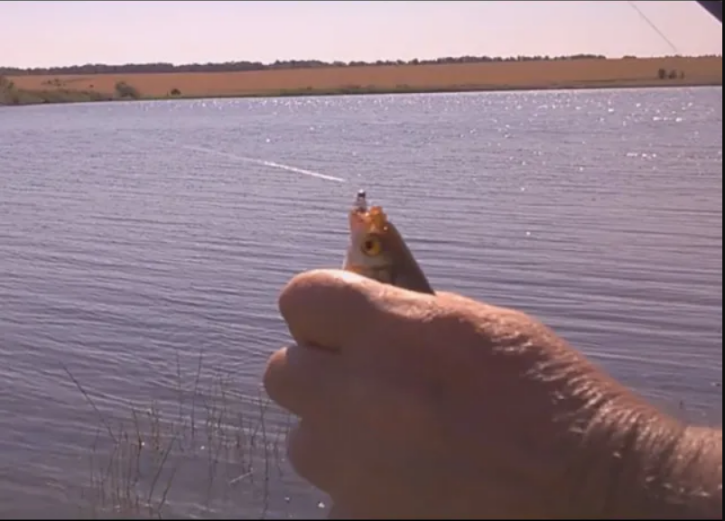 Уловистая мушка на красноперку 2.