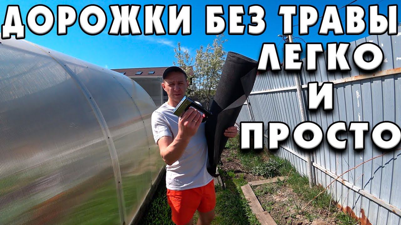 Дорожки без травы легко и просто. День рождения дочки. Сажаем картофель