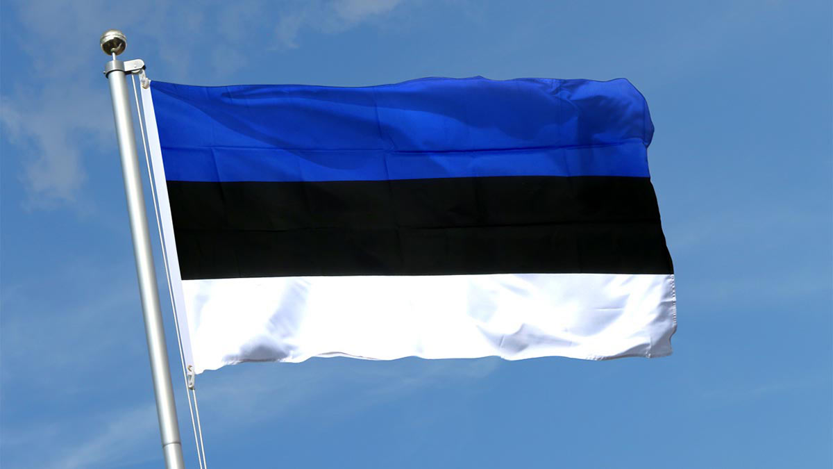 Эстония: экономический кризис.mp4