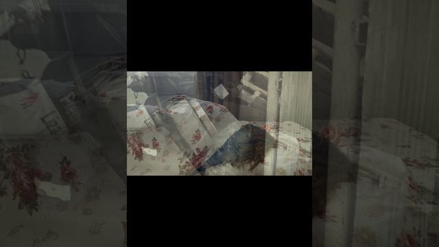 Панарина Кристина - Выборы