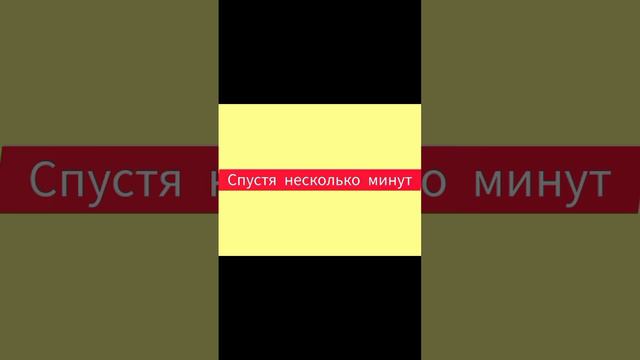 осенние шутки черепашек ниндзя спасатели времени