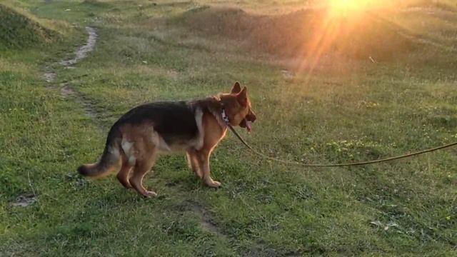 дай попить водицы
