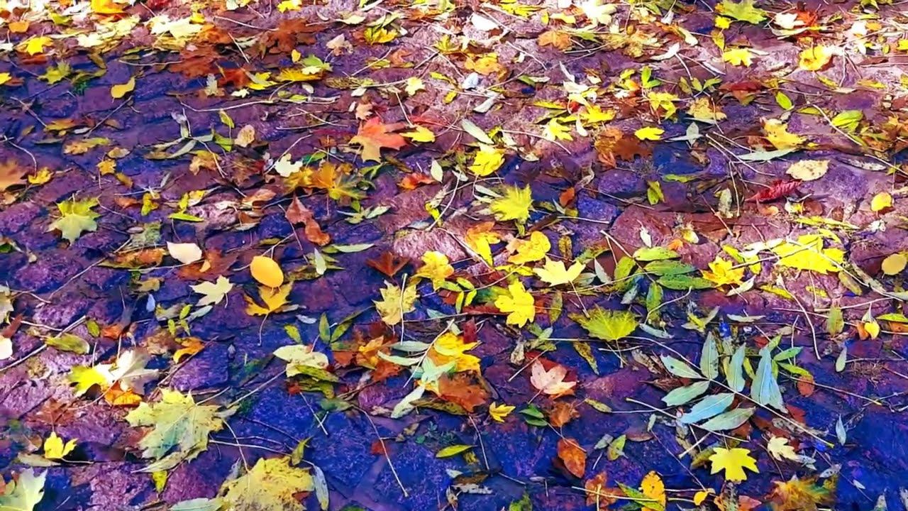 Осенний пустячок