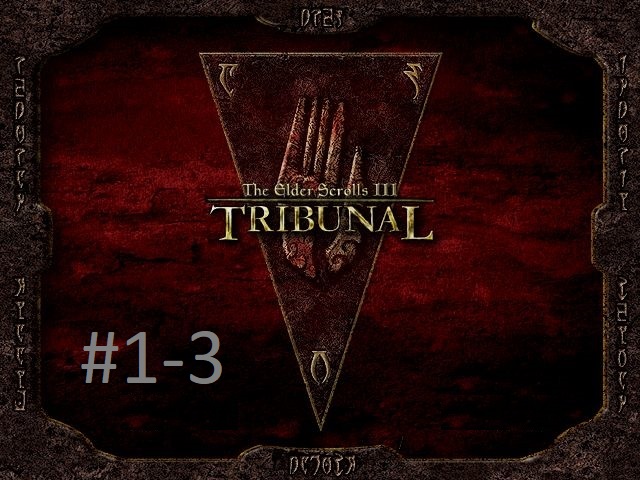TESIII Tribunal #1-3 Чемпион утвари.mp4