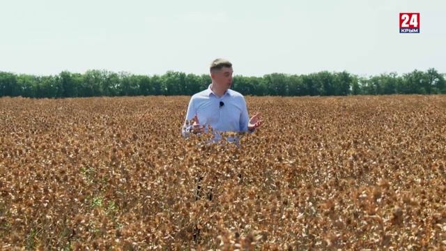 Д/ф «Наука и агробизнес: есть контакт!» 2 серия «Под горячими лучами»