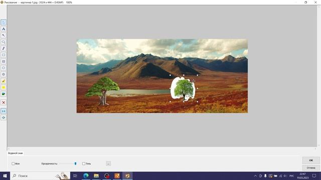 Обработка графических изображений в  Faststone Image Viewer