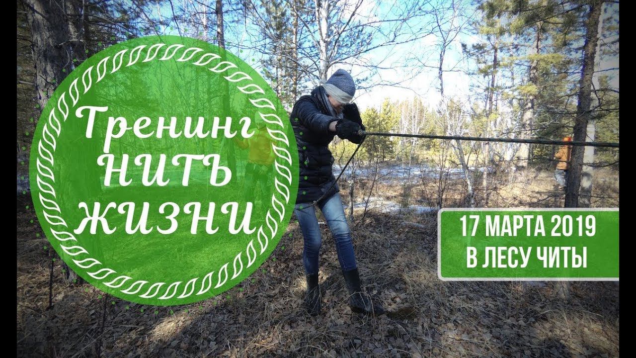 Тренинг в лесу "Нить жизни"