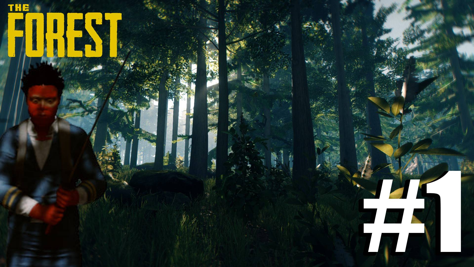 КРУШЕНИЕ САМОЛЕТА ► The Forest #1