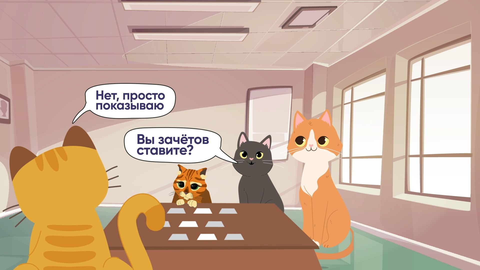 Котоуниверситет