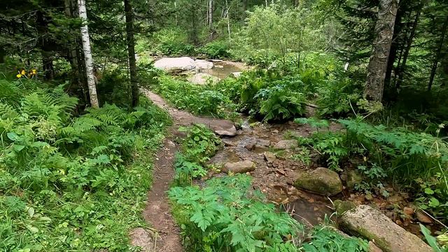 Белокуриха-23_День 5