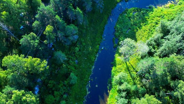 Flying in the canyon