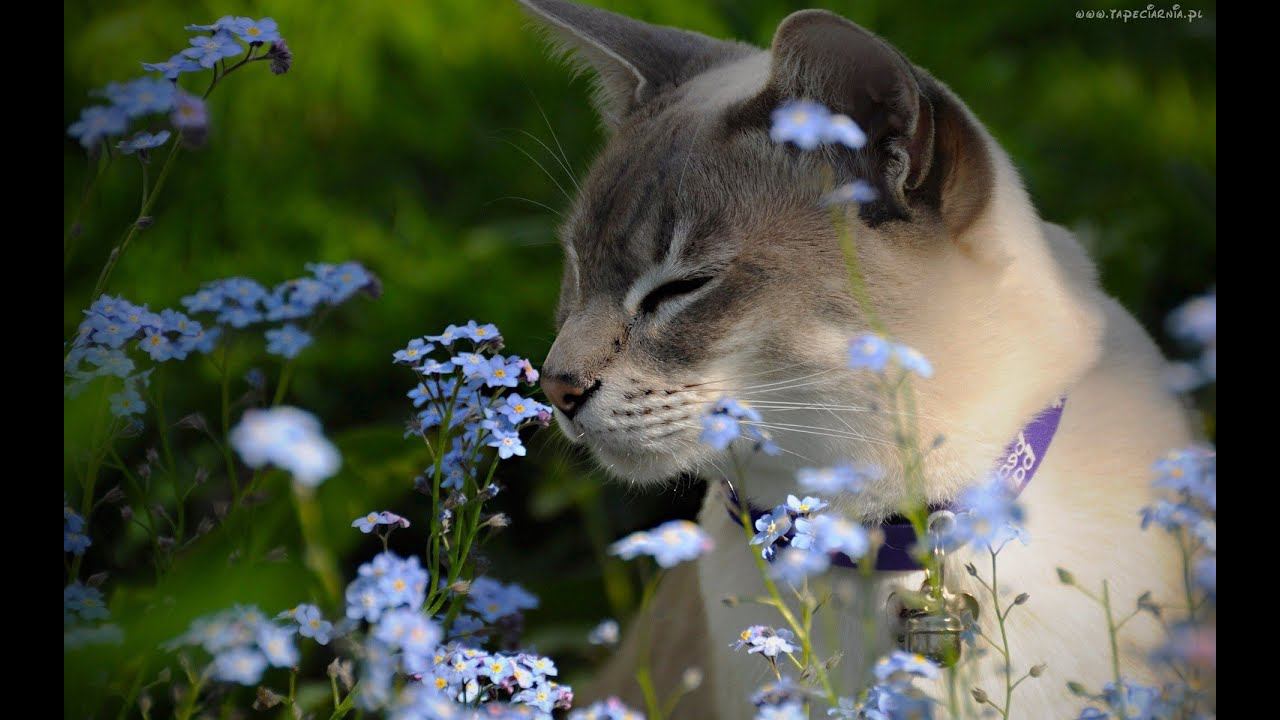 "ПУТЬ" - стихотворение ТАТЬЯНЫ АВДЕЕВОЙ