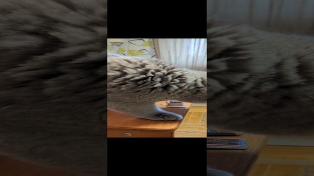 Убери, я это не ем! ?