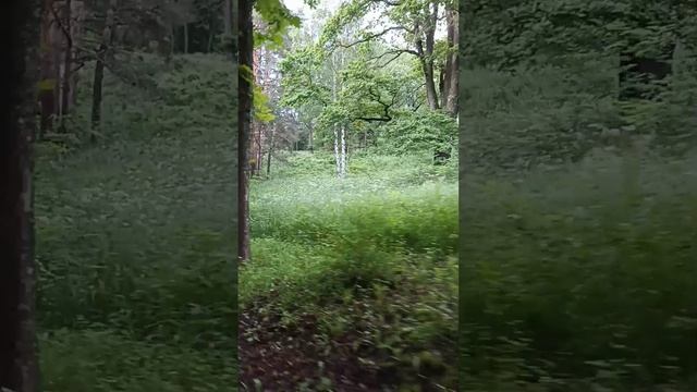 Национальный парк Кисловодский