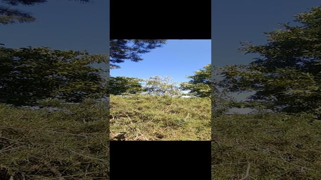 Хорошо в на лесах.