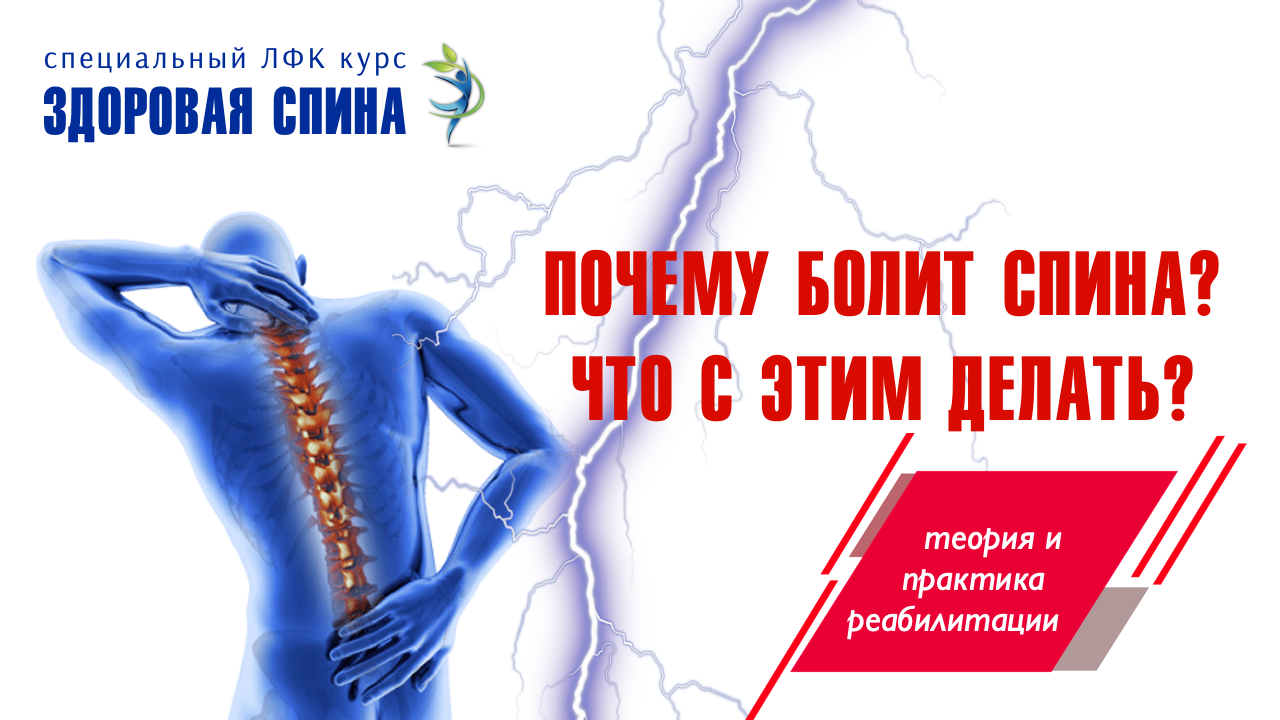 Курс "Здоровая спина " -  Видео №1 - Лекция - Почему болит спина и что с этим делать