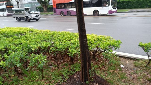 Самые безопасные пешеходные переходы в Сингапуре.