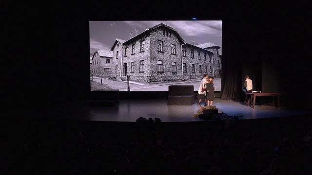ДРАМАТИЧЕСКИЕ СПЕКТАКЛИ
