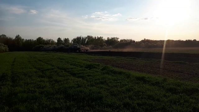 Т-150 подготовка почвы под посадку картофеля и фацелии тяжелым культиватором КПЭ-3,8А