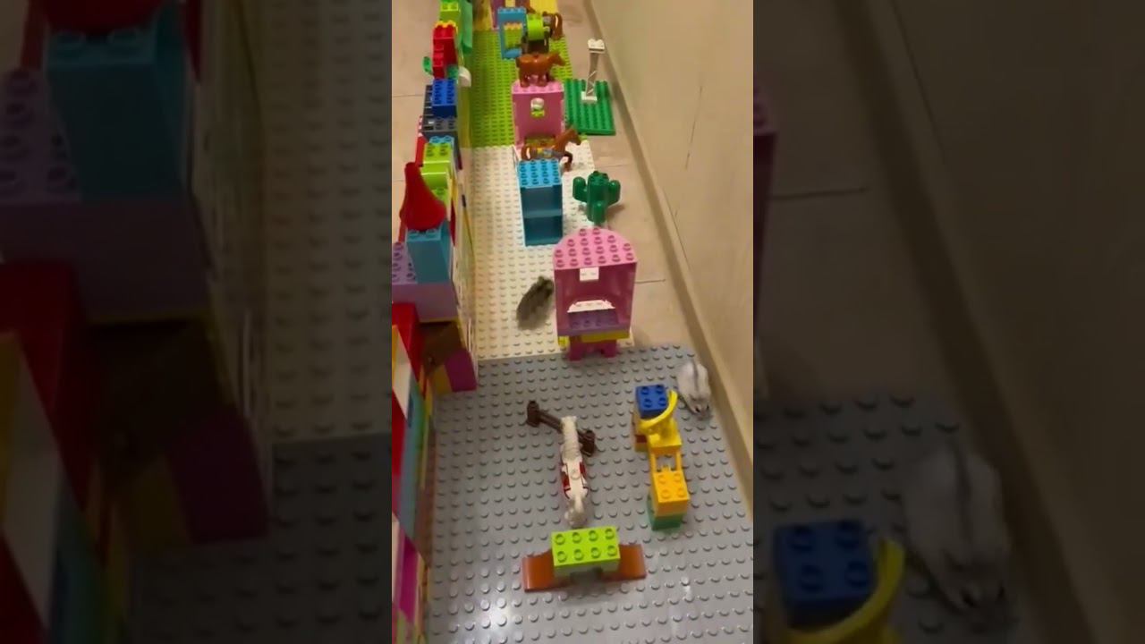 Хомячки в замке Лего Дупло