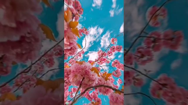 Доброго утра. Хорошего дня