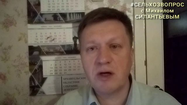 ярмарка на мрв.mp4