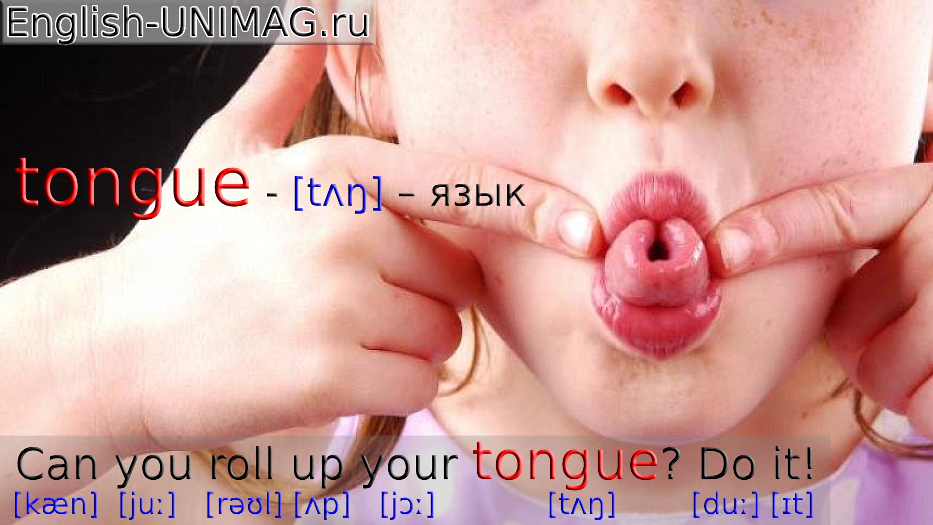 Английский самостоятельно без репетитора и нудной зубрежки. Онлайн тренажер английских слов. Riddles