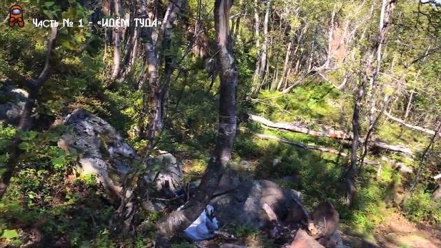 Поход_ «Туда»  Декада здорового образа жизни «Спортивные каникулы в Заполярье» ЦСП «Тэнгу Про»