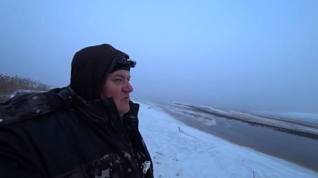 Сом на ждиг