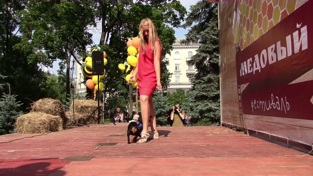 Выступление собак. Медовый фестиваль. 2017 год.