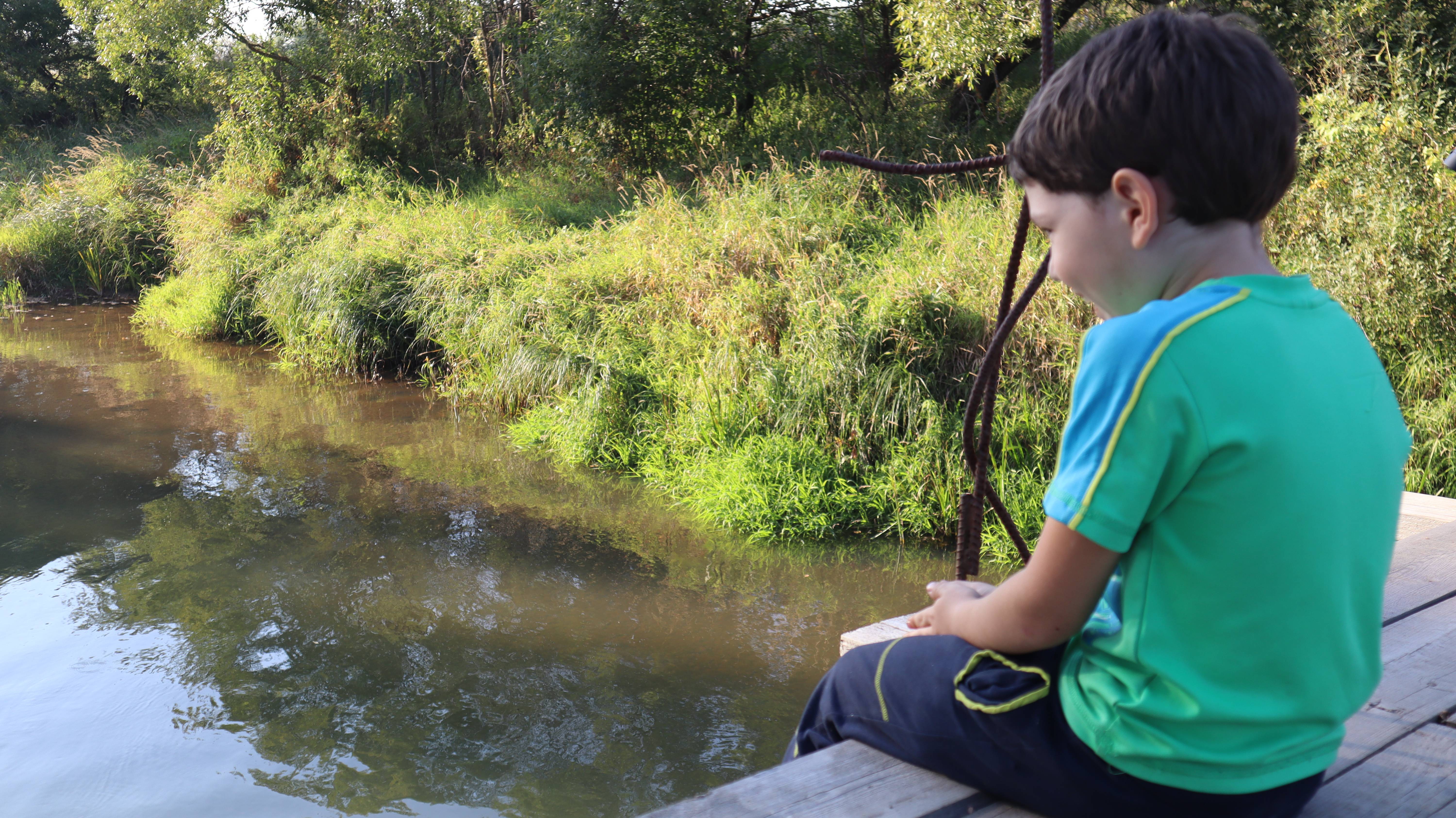 Река Киржач 31.08.2024