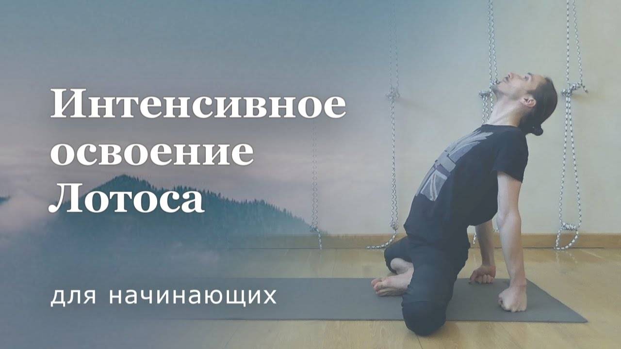 Упражнения для позы лотоса для начинающих