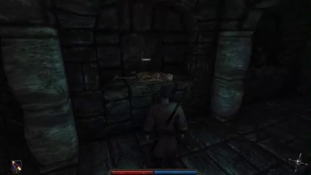 Risen Глава 1.1 Расследуем убийство и бои на посохах на арене  - Кабан в сторонке отдыхает