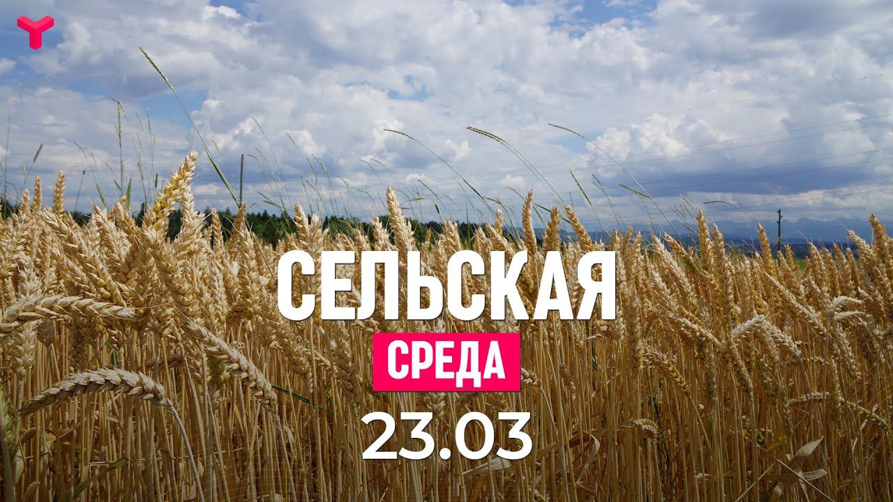 Сельская среда 23.03.2022